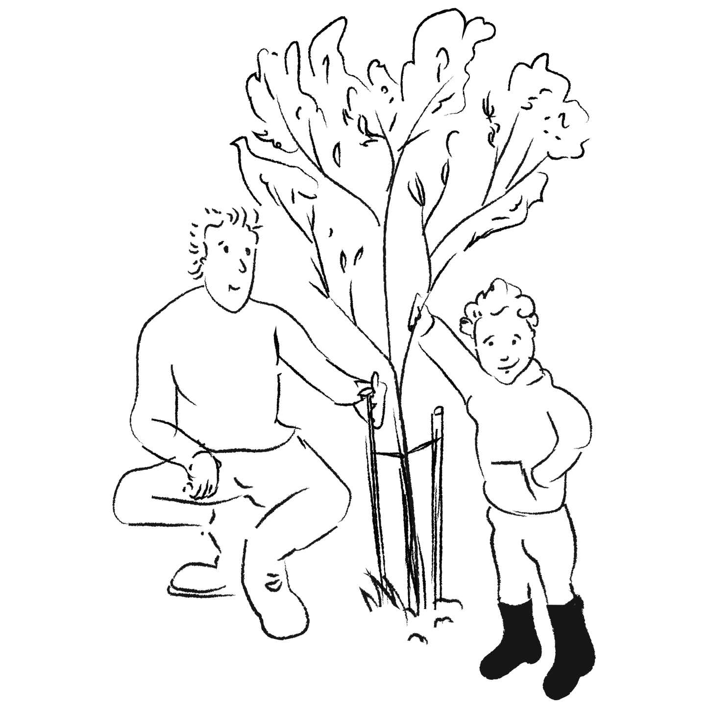 Toru by David Trubridge